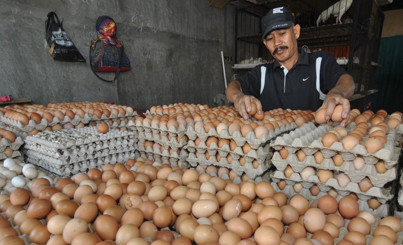 Harga Telur Ayam Ras Segar Harian di Pasar Tradisional Provinsi ...