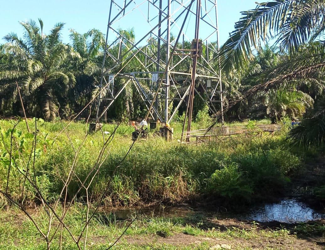 PT. TLB Abaikan Pengawasan Jaringan SUTT PLTU Batubara Teluk Sepang ...